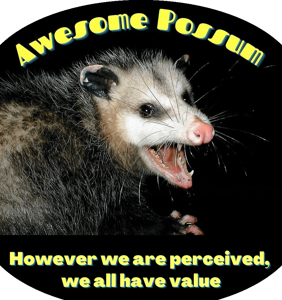 Awesome Possums
